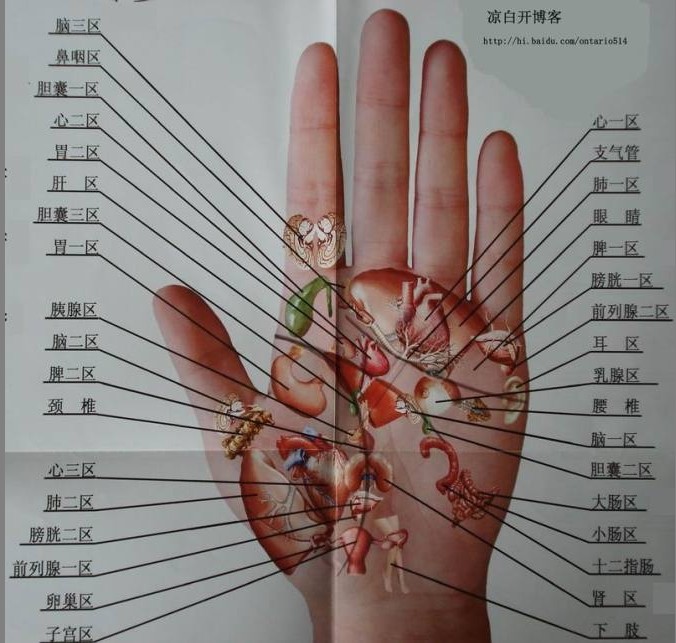 刘云网
